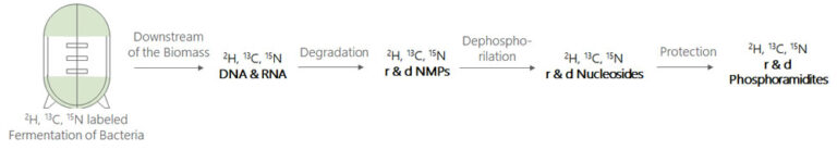 Synthesizing Stable Isotope-Labeled Nucleic Acids | Silantes