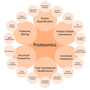 Unraveling the Different Types of Proteomics | Silantes