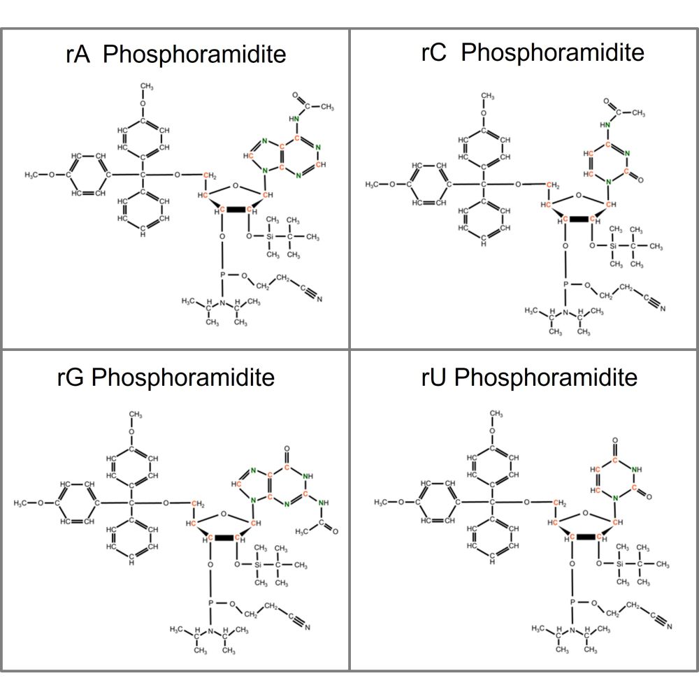 Set of 4 ribonucleoside phosphoramidites | Silantes